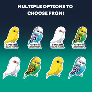 Funny Budgie Parakeet Stickers Cute Exotic Pets Vinyl Decal Gift for ...