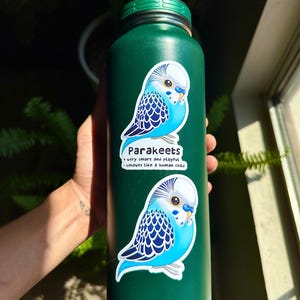 Funny Budgie Parakeet Stickers Cute Exotic Pets Vinyl Decal Gift for ...
