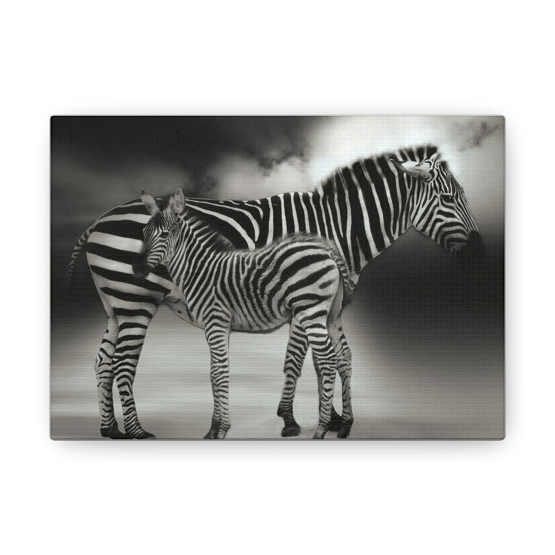 Black and White Zebra Canvas Prints, Zebra Wall Art, Zebra Art Print ...