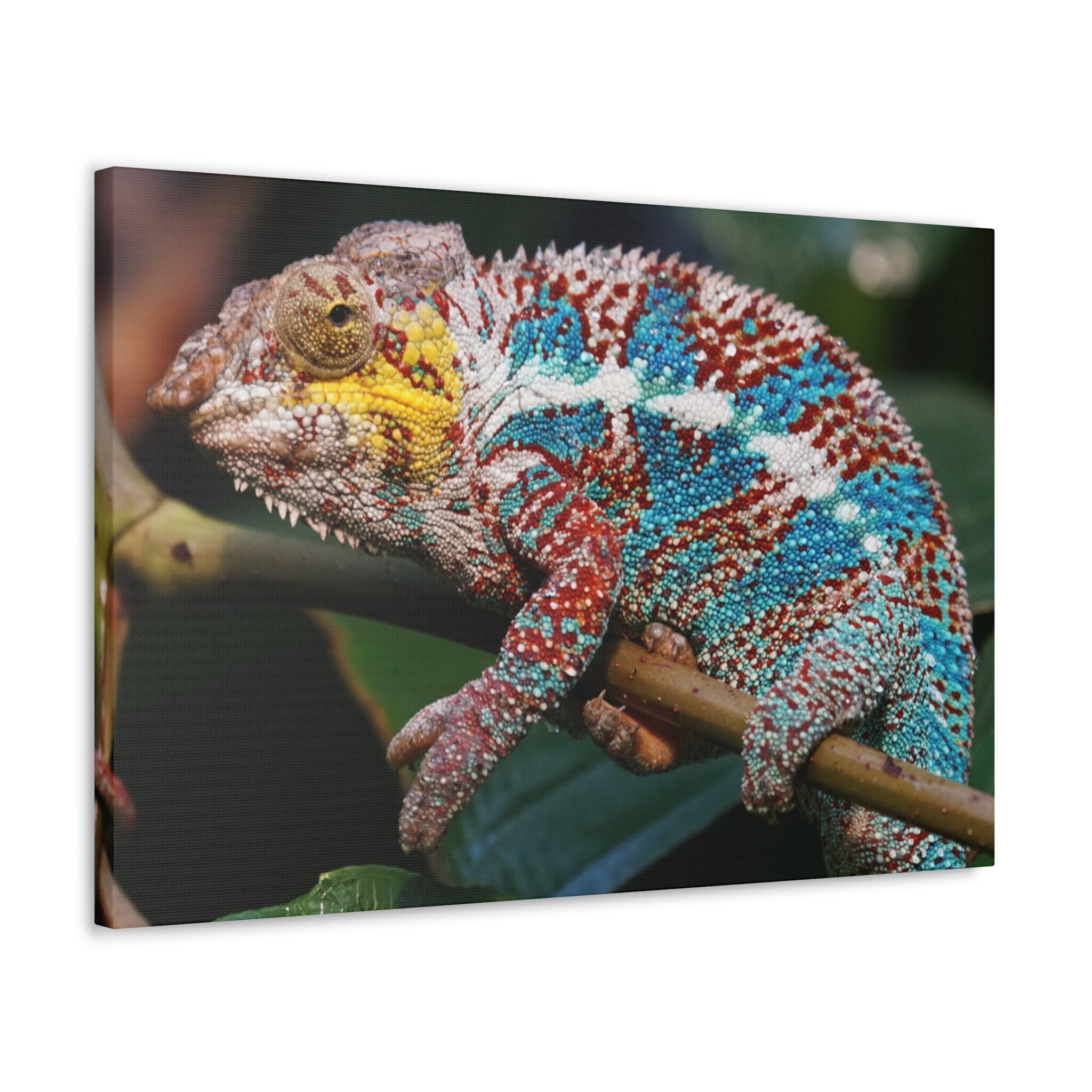 Colorful Chameleon Canvas Prints, Chameleon Wall Art, Chameleon Art ...