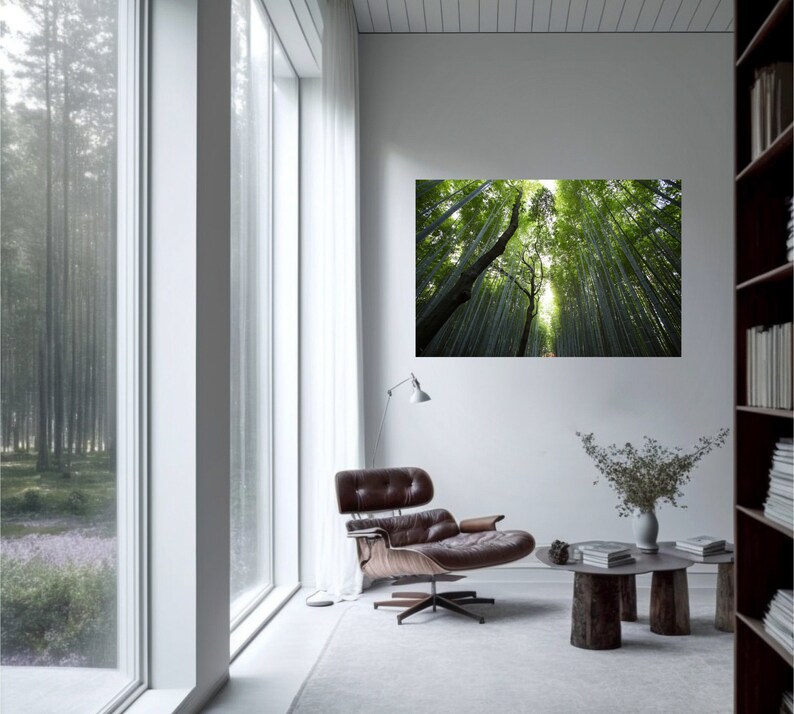 Green Canopy of Bamboo Plants & Trees With Sun Shining Bamboo Wall ...