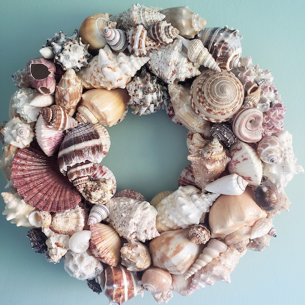 Sea Shell Wreath - Etsy
