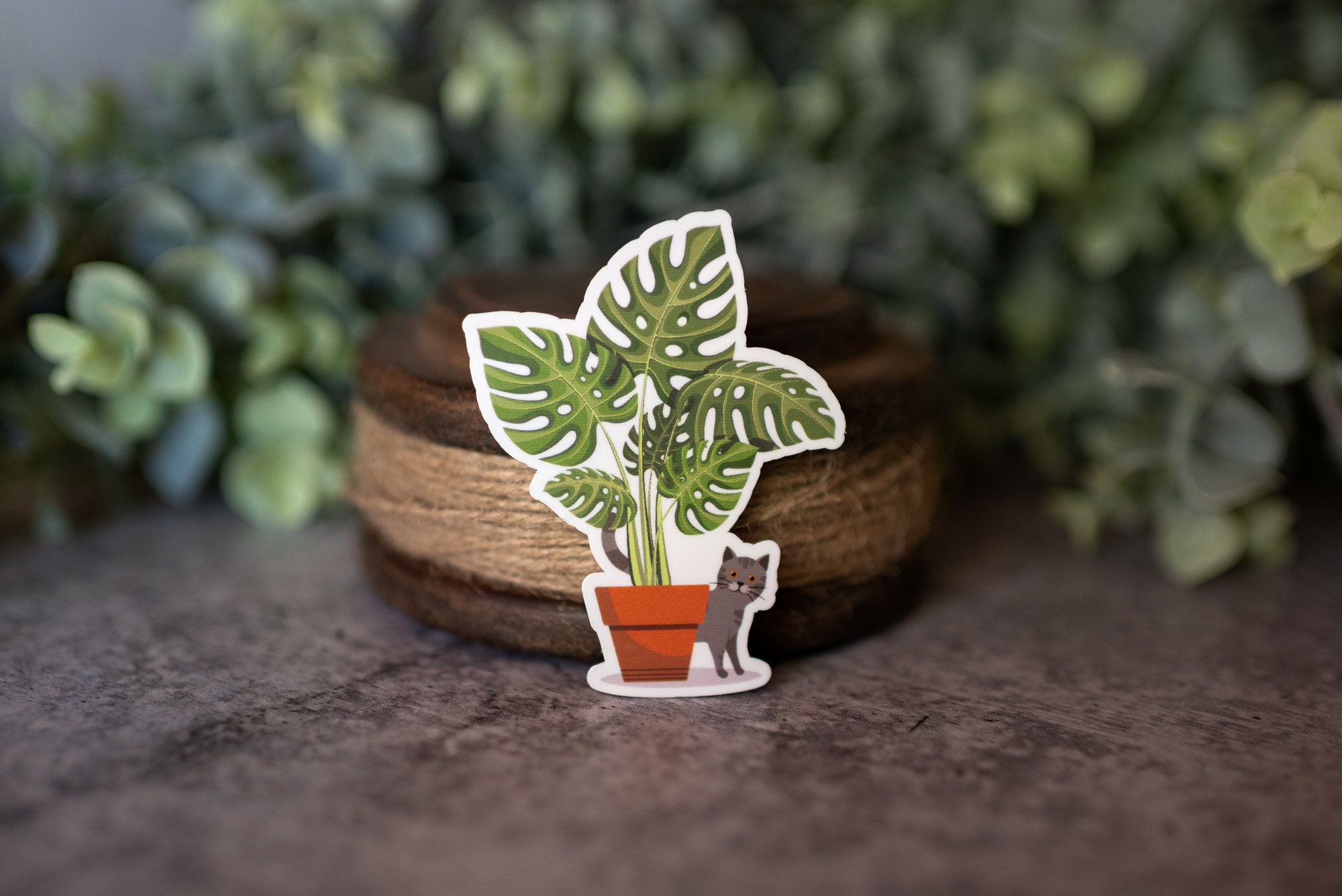 Plant and Cat Sticker, Cat Mom Decal, Plant Lover Gift, Plant Sticker ...