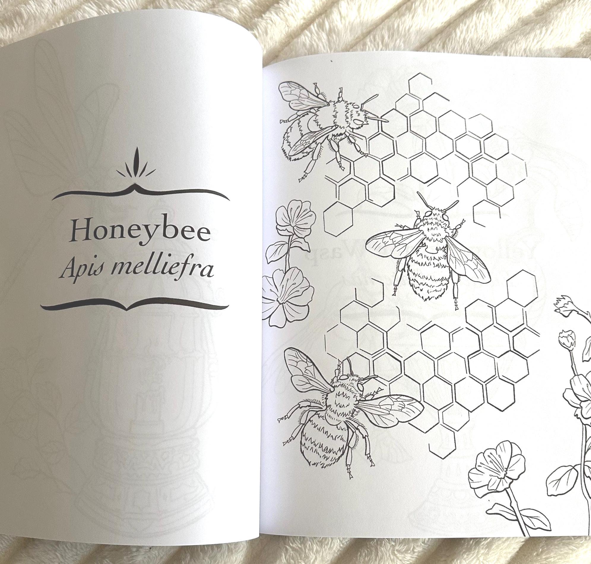 Insects Coloring Book: 20 Unique Adult Pages - Etsy
