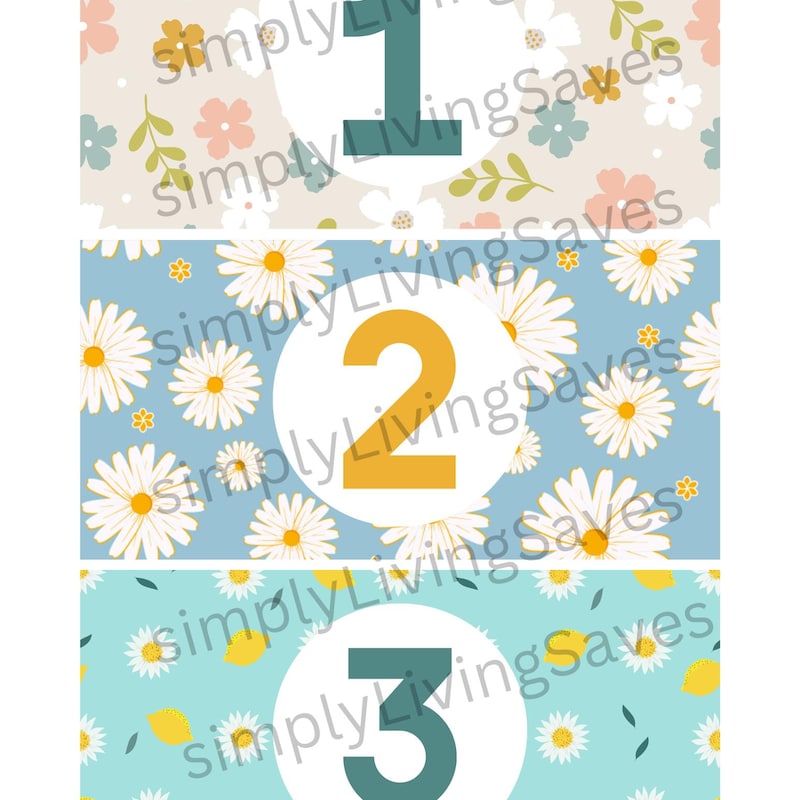 Cute A6 Binder Dashboards - Etsy