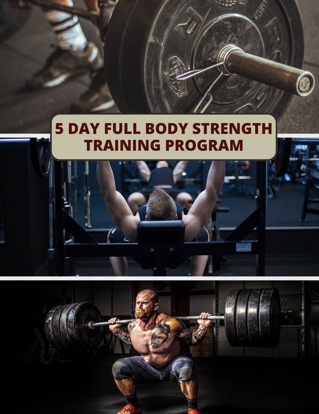 5 Day Full-body Strength Training Workout Program (12 Weeks) - Etsy