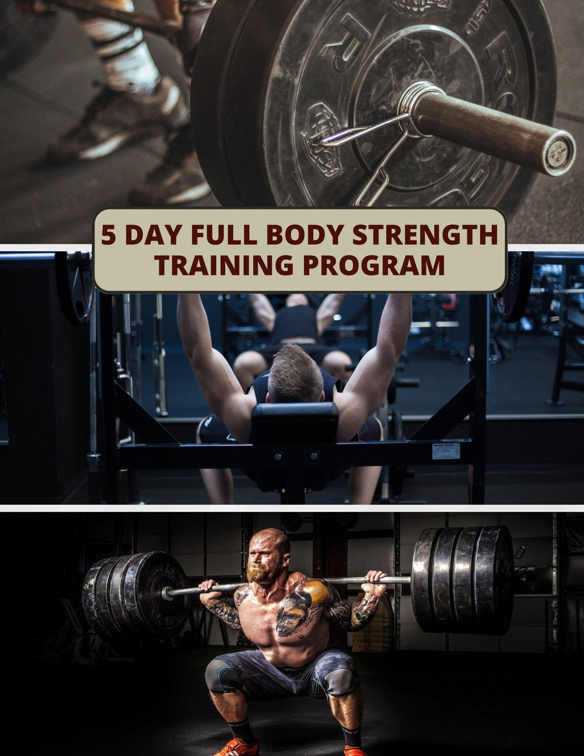 5 Day Full-body Strength Training Workout Program (12 Weeks) - Etsy