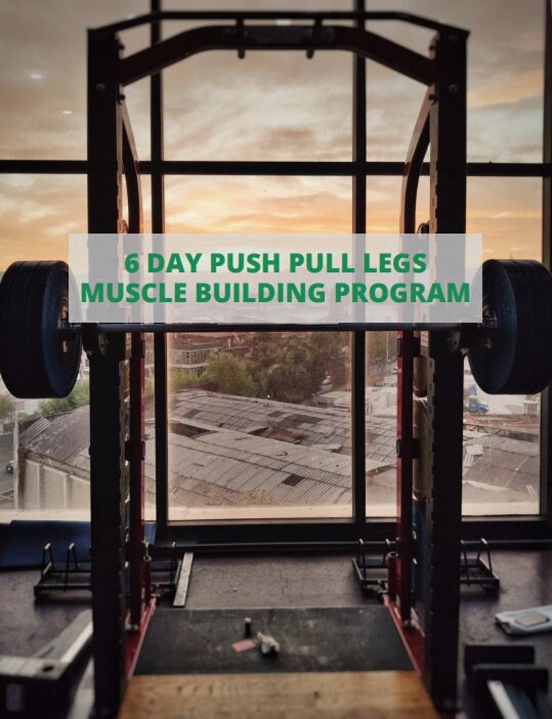 6 Day Push Pull Legs Muscle Building Workout Program (12 Weeks) - Etsy