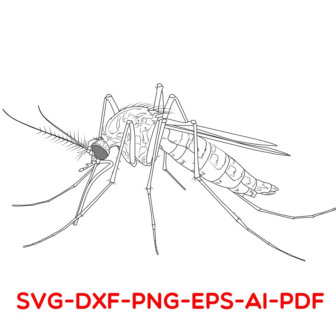 Detailed Mosquito Line Art Vector | Insect Outline SVG for Crafts ...
