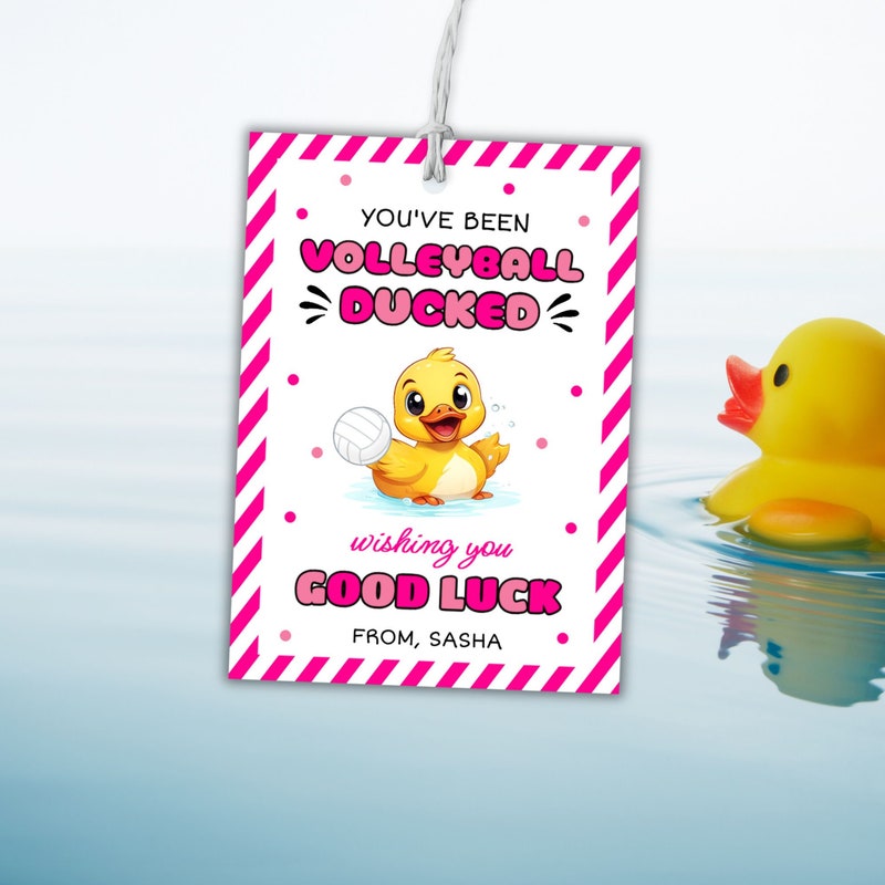 Volleyball Rubber Duck - Etsy