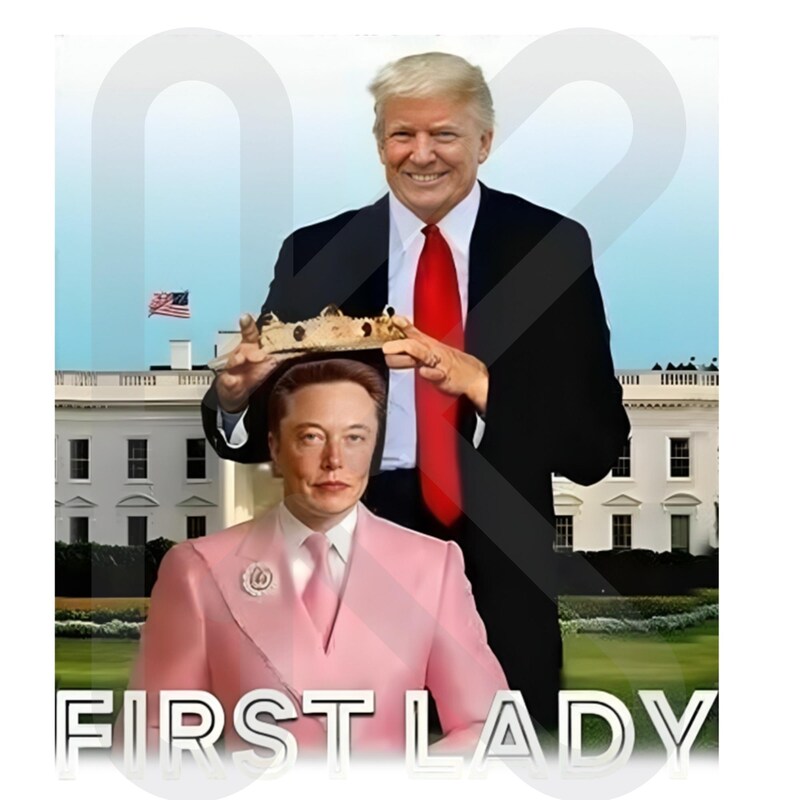 Trump and elon wall art - Etsy.de