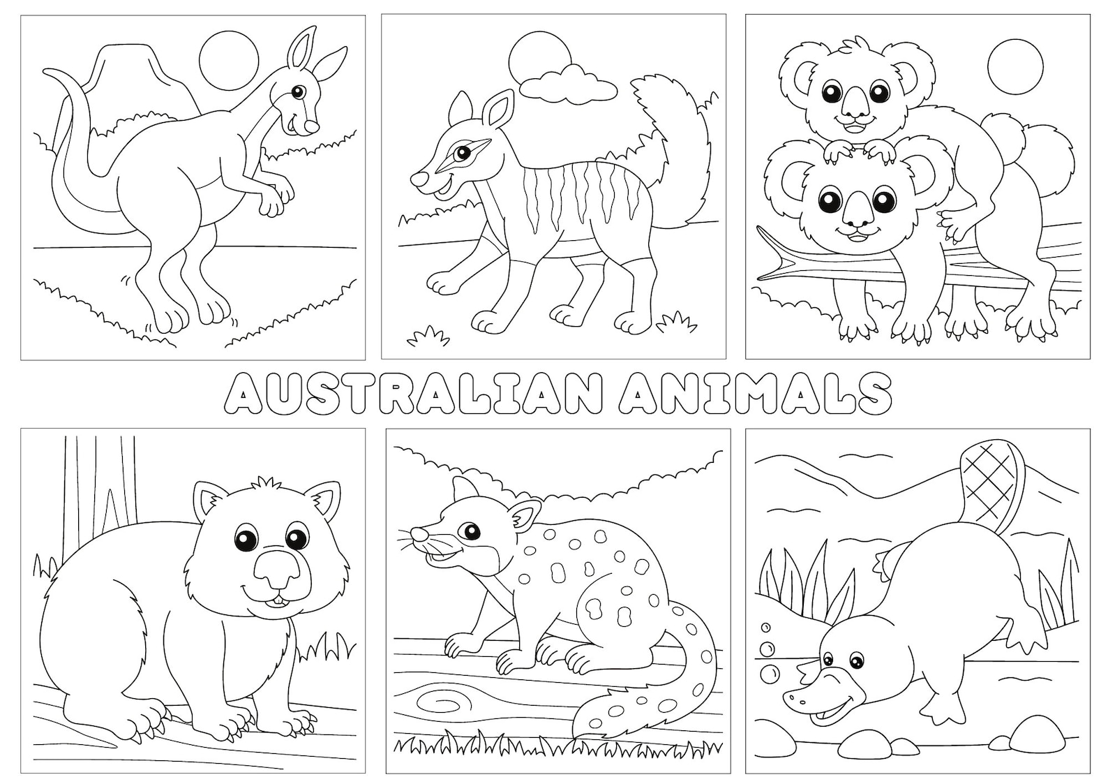 Australian Animals Coloring Page: Marsupials Printable (digital ...