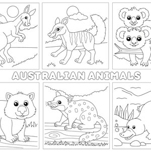 Australian Animals Coloring Page: Marsupials Printable (digital ...