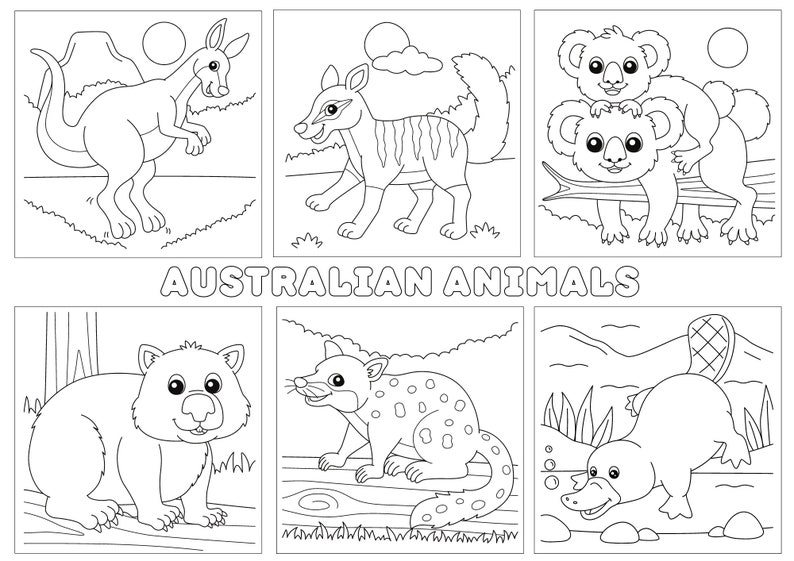 Australian Animals Coloring Page: Marsupials Printable (digital ...