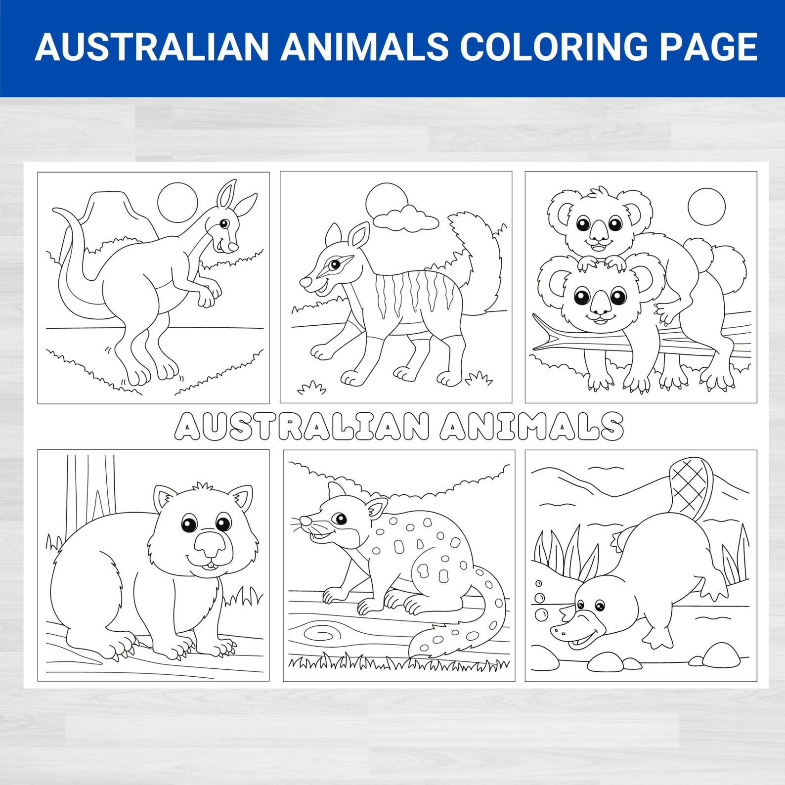 Australian Animals Coloring Page: Marsupials Printable (digital ...