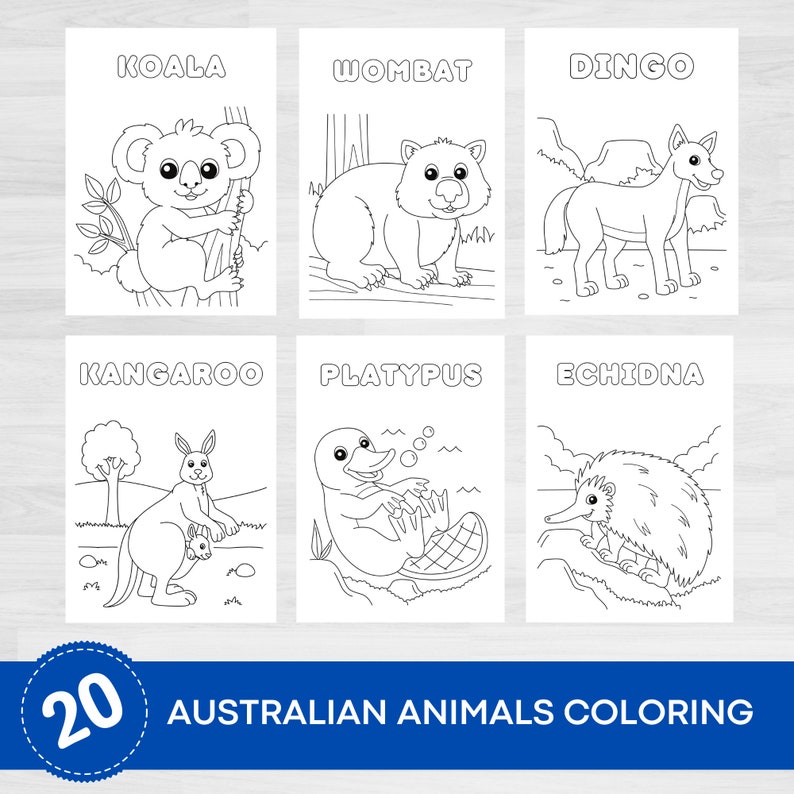 Australian Animals Coloring Pages: Kids Activity (digital Download) - Etsy