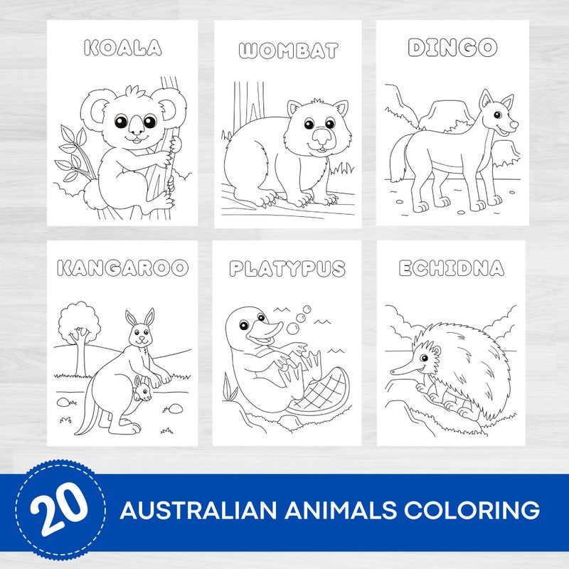 Australian Animals - Etsy