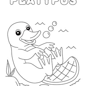 Native Australian Animals Coloring Pages | Australian Animals ...