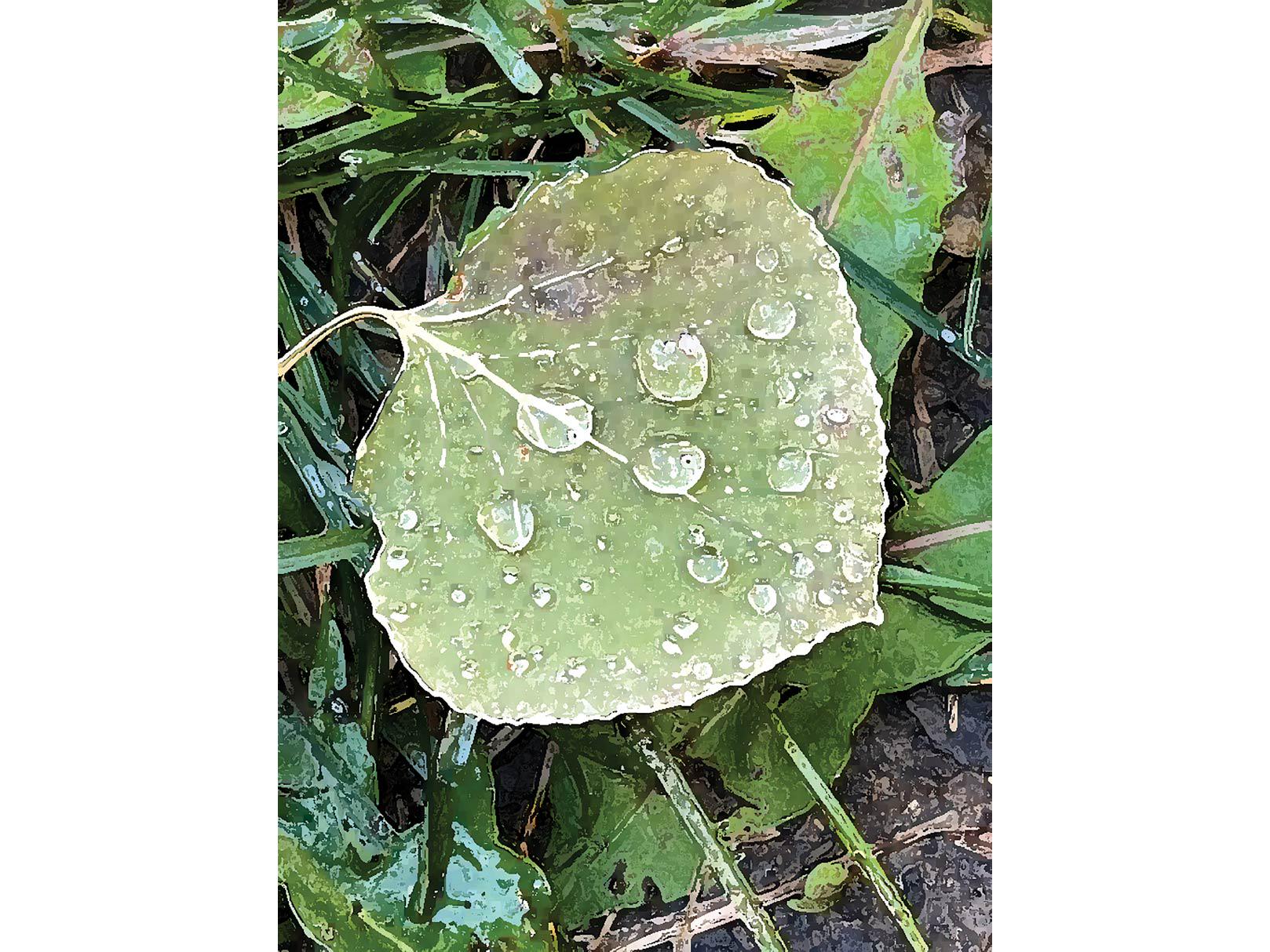 Printable Paint Style Water Drops on Leaves Wall Art - Etsy