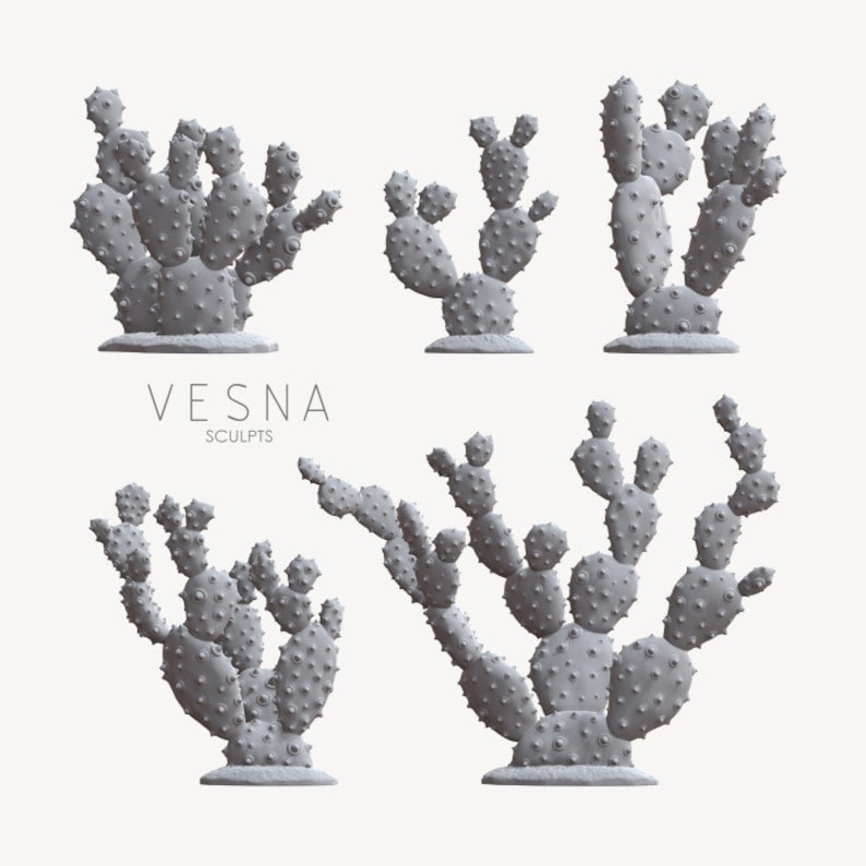 Big Cacti Cactus Scatter Pack Terrain Scenery Landscape TTRPG - Etsy