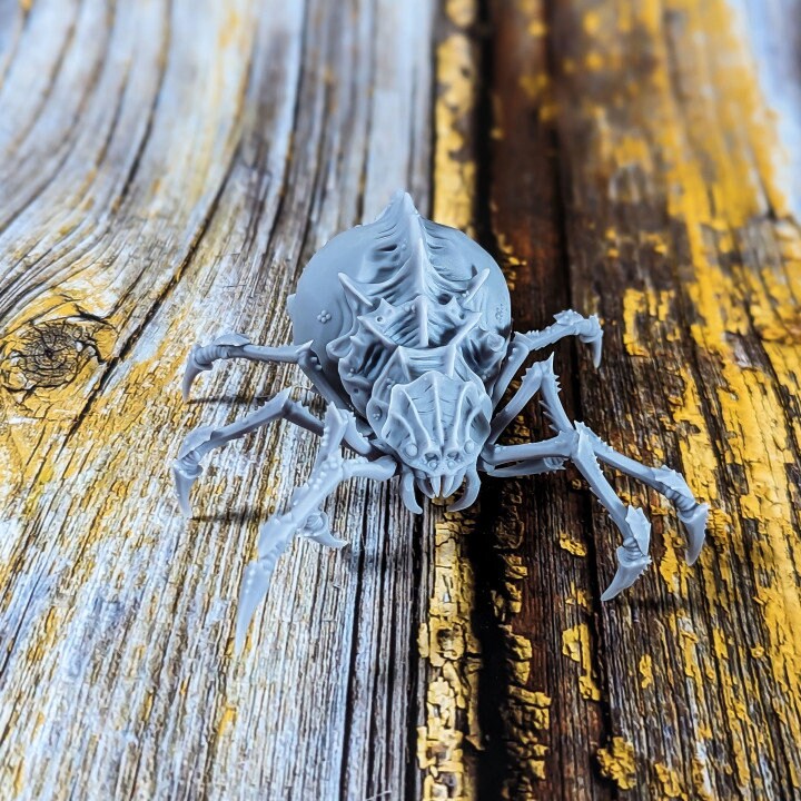 Sump Spiders Monsters Creatures Big Small Set Bundle TTRPG Fantasy Dnd ...