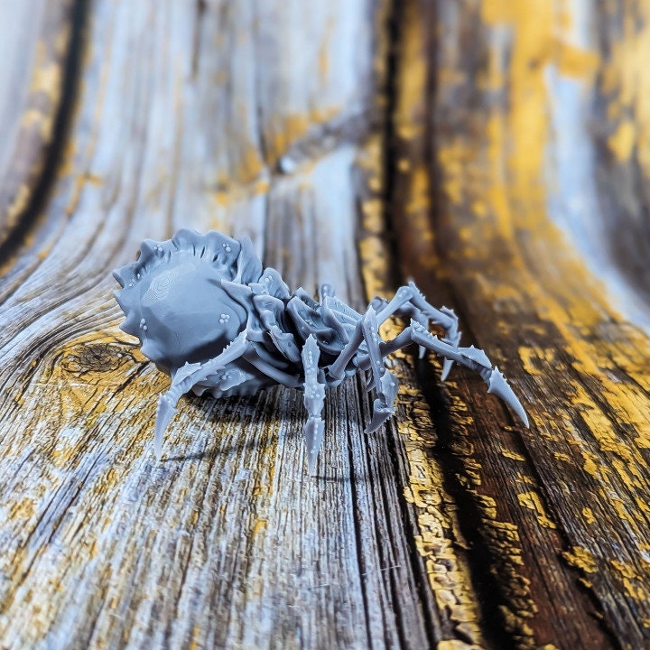 Sump Spiders Monsters Creatures Big Small Set Bundle TTRPG Fantasy Dnd ...