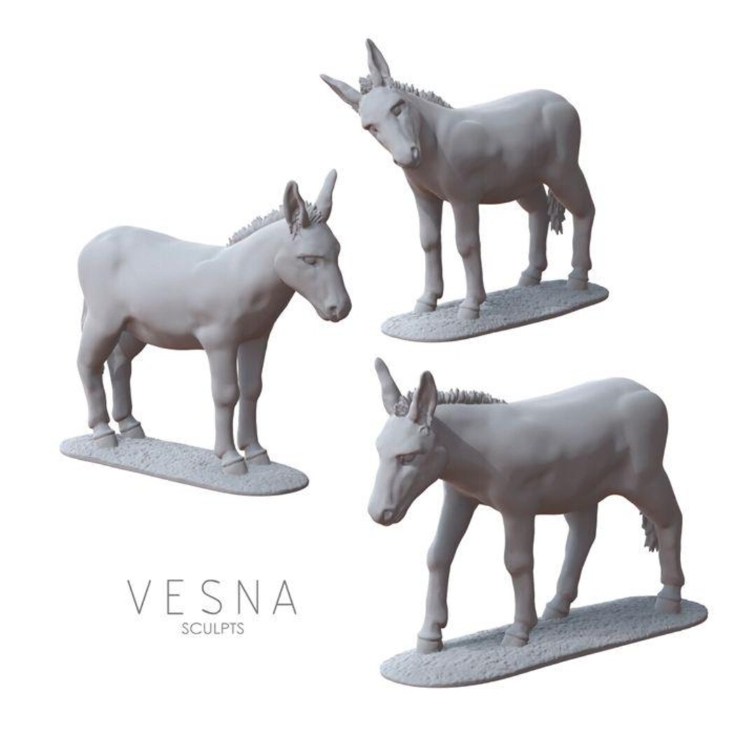 Donkeys Asses Mule Pack Donkey Farm Ranch Animals Scatter Terrain ...
