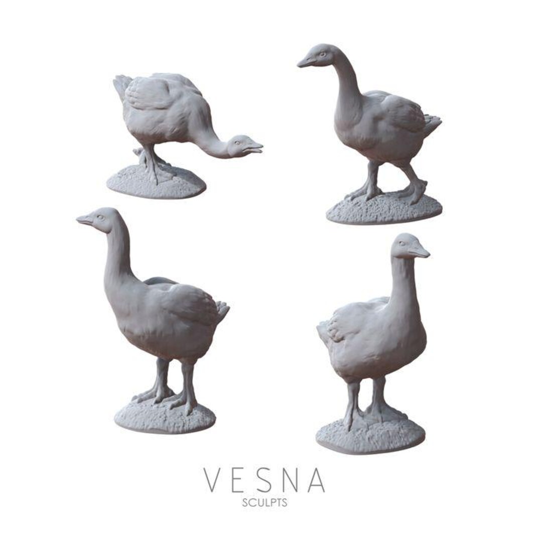 Geese Goose Birds Pond Lake Animals Farm Ranch Scatter Terrain Scenery ...