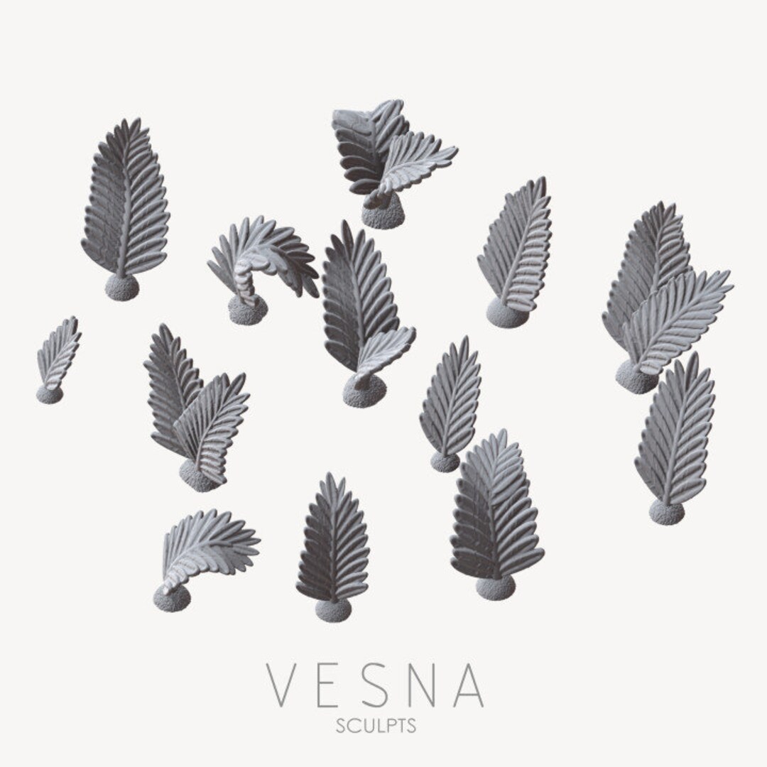 Fern Bundle Forest Woods Flora Plants Vegetation Scatter Terrain ...