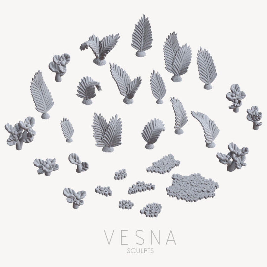 Forest Flora Plants Woods Clovers Ferns Marsh Berries Scatter Terrain ...