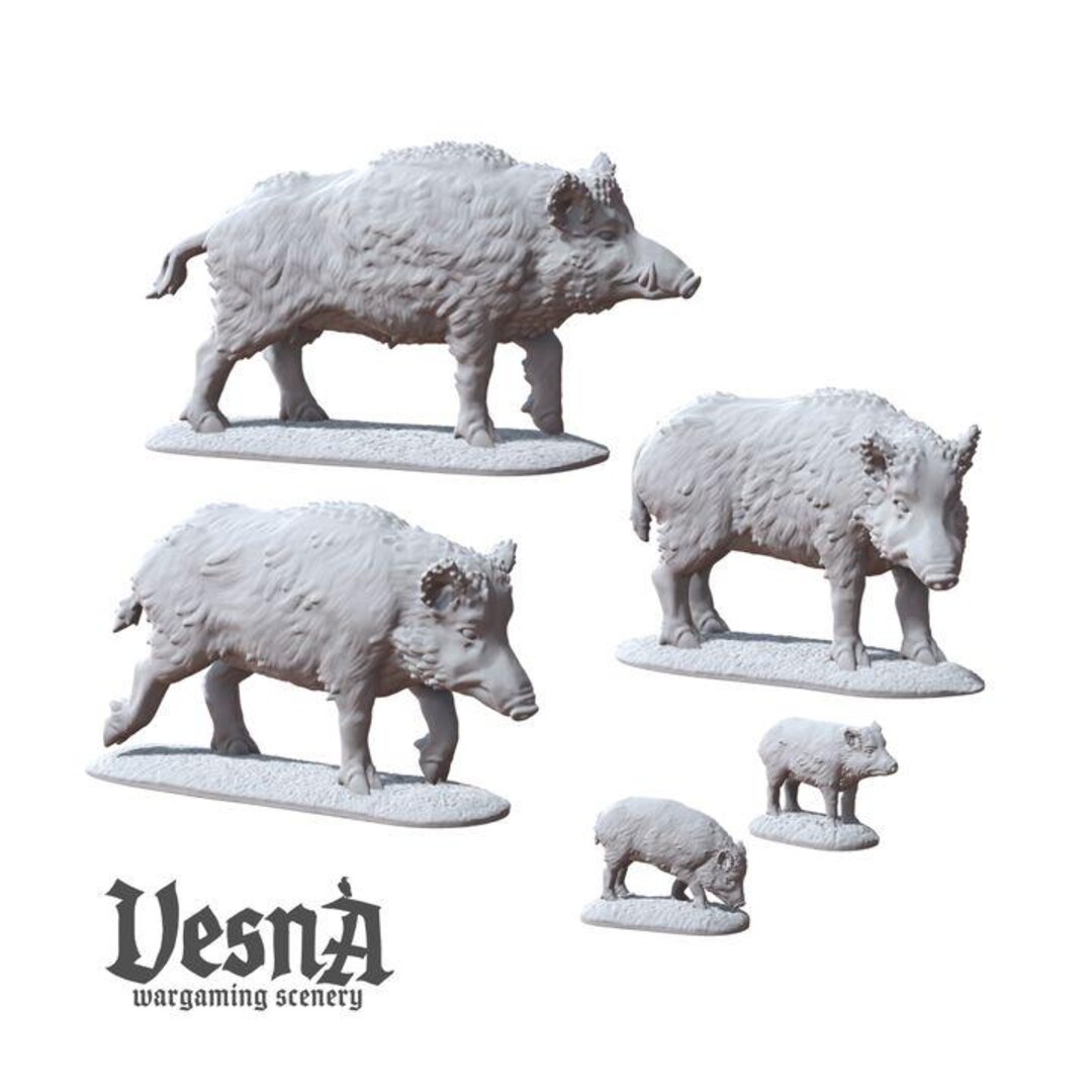 Wild Boar Pack Feral Hogs Animals Pig Oink Forest Woods Plains Scatter ...