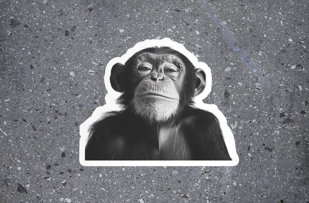 Monkey Sticker, Fun Sticker, Monkey Face, Just a Monkey, Bad Monkey ...