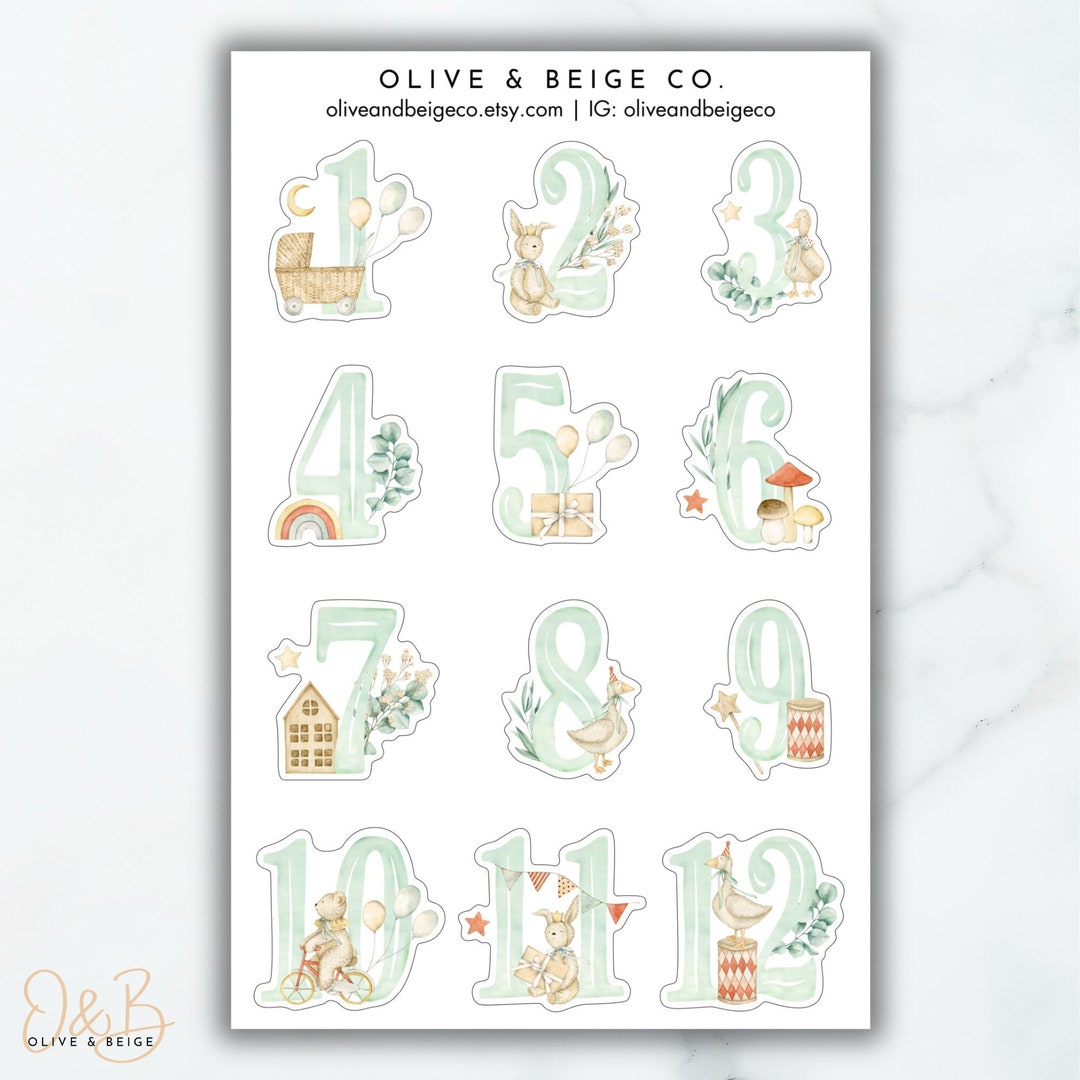 Baby Monthly Countdown Stickers | Accomplishments Stickers | Floral ...