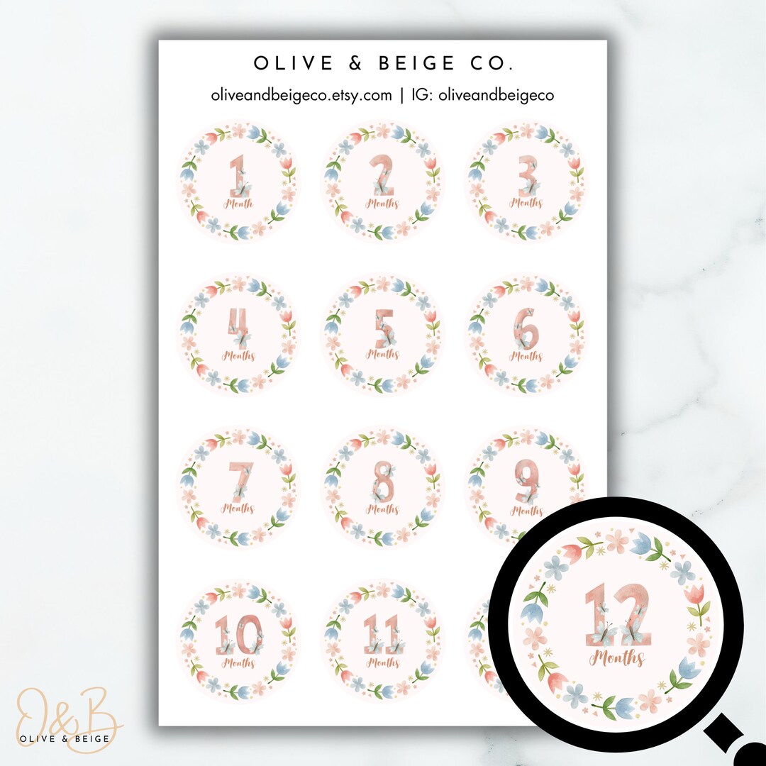 Monthly Baby Stickers Floral Pink Stickers Baby Girl Milestone Stickers ...