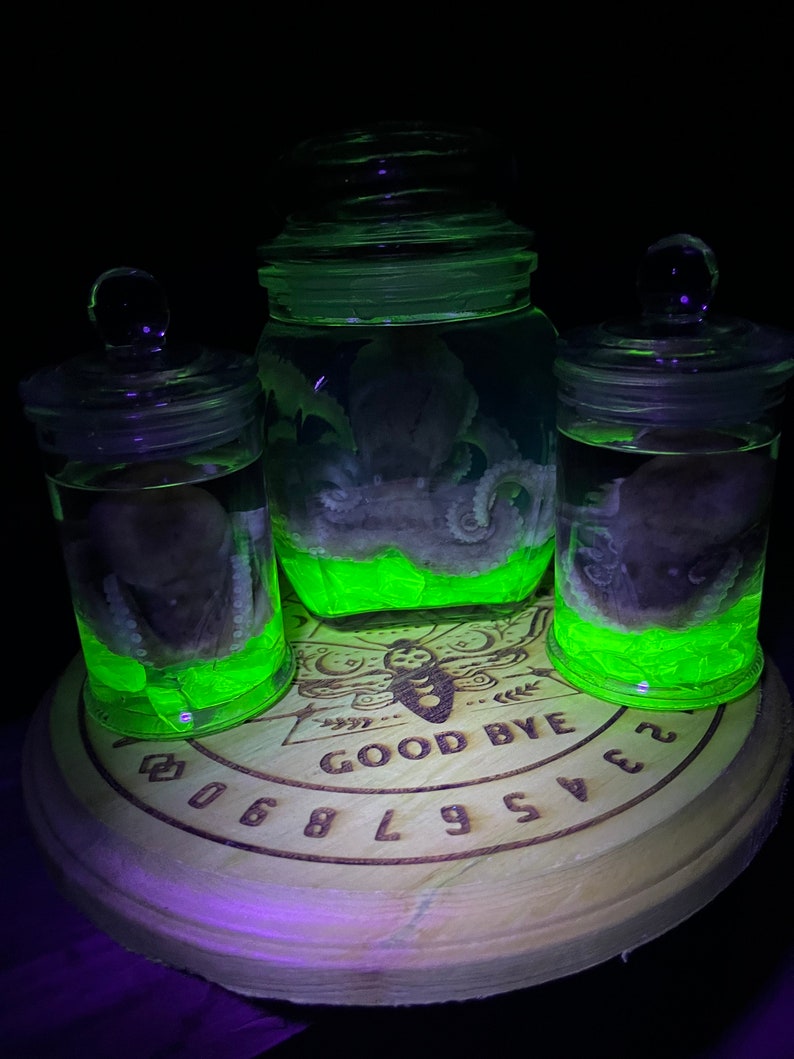 Large Full Body Octopus Wet Specimen - Etsy