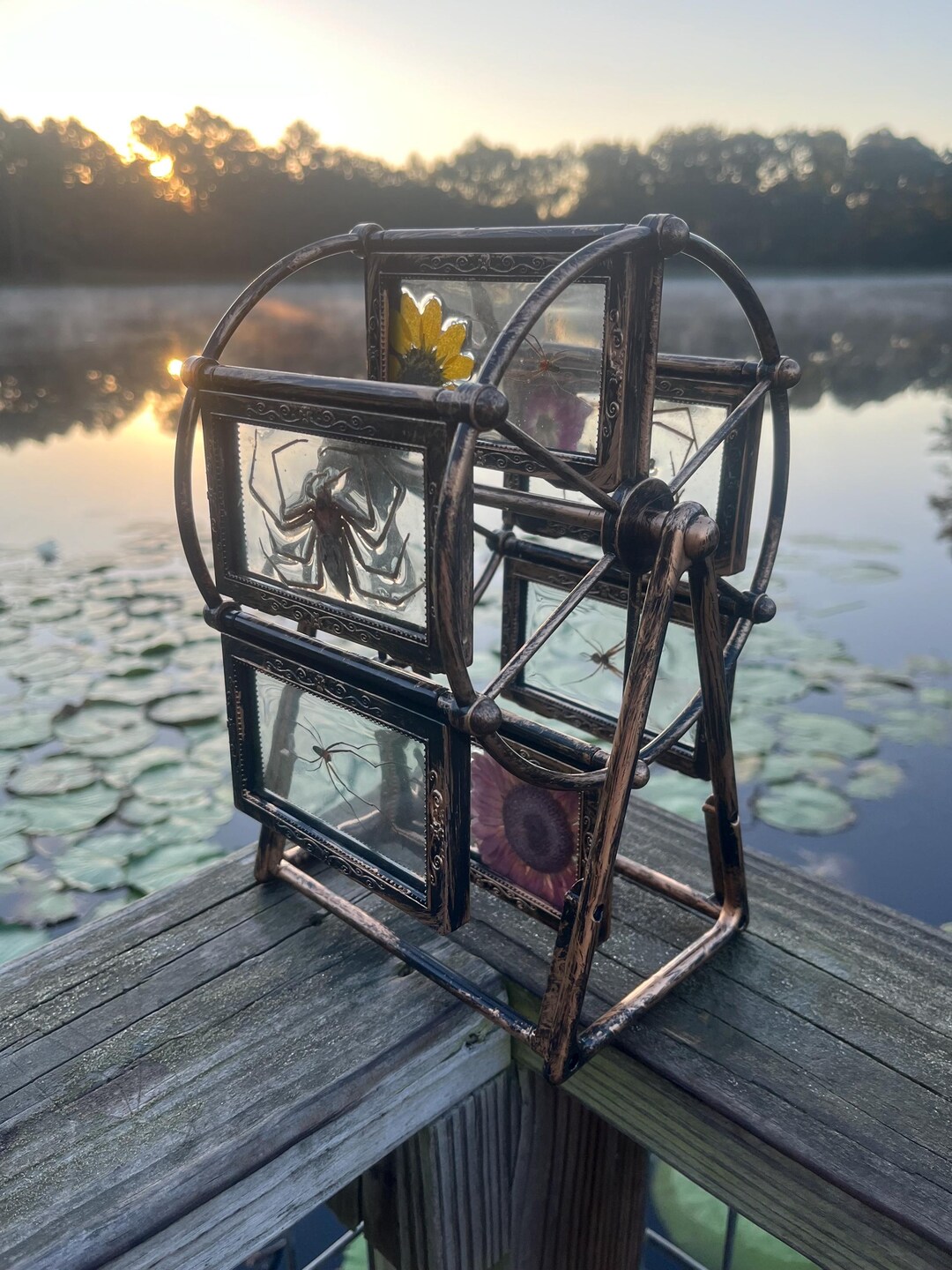 Spider Only Ferris Wheel Display – One of a Kind Random Pick Oddities ...