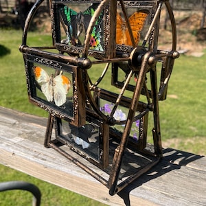 Butterfly Ferris Wheel Display – One of a Kind (butterflies Vary ...