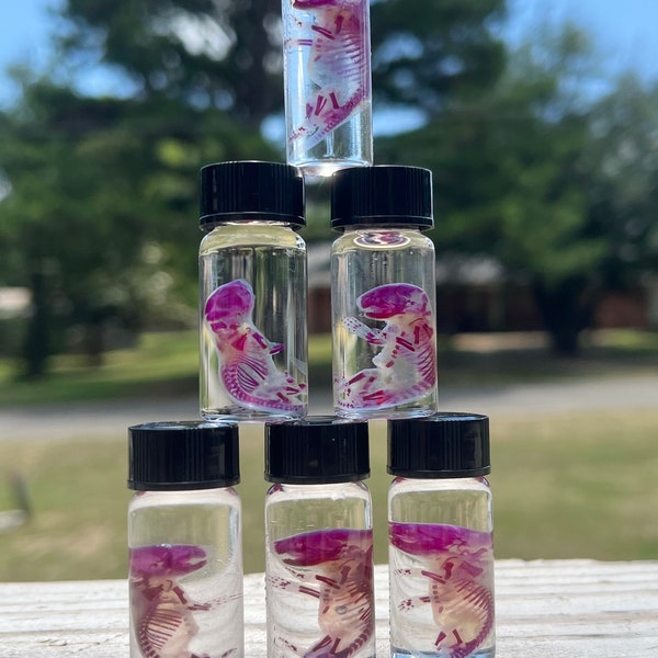 Diaphonization - Etsy