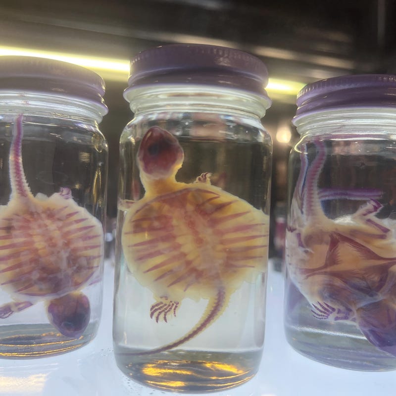 Diaphonization - Etsy