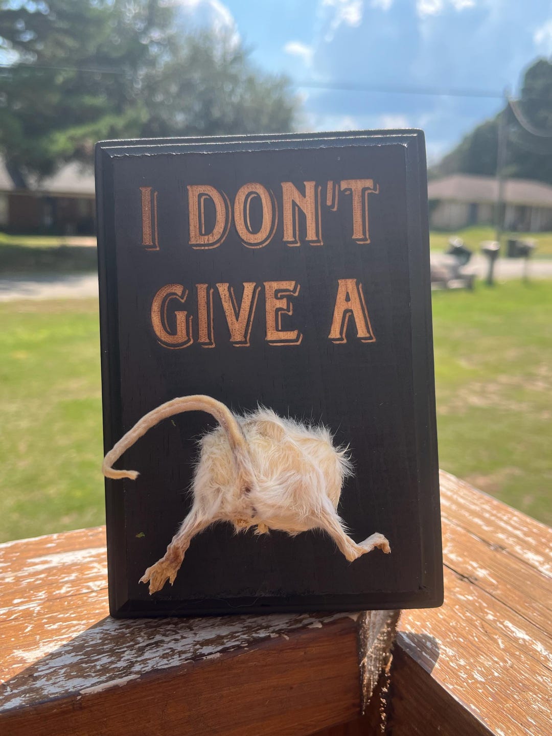 Rat Ass on Wood – Handmade Oddities Conversation Piece I Don’t Give a ...