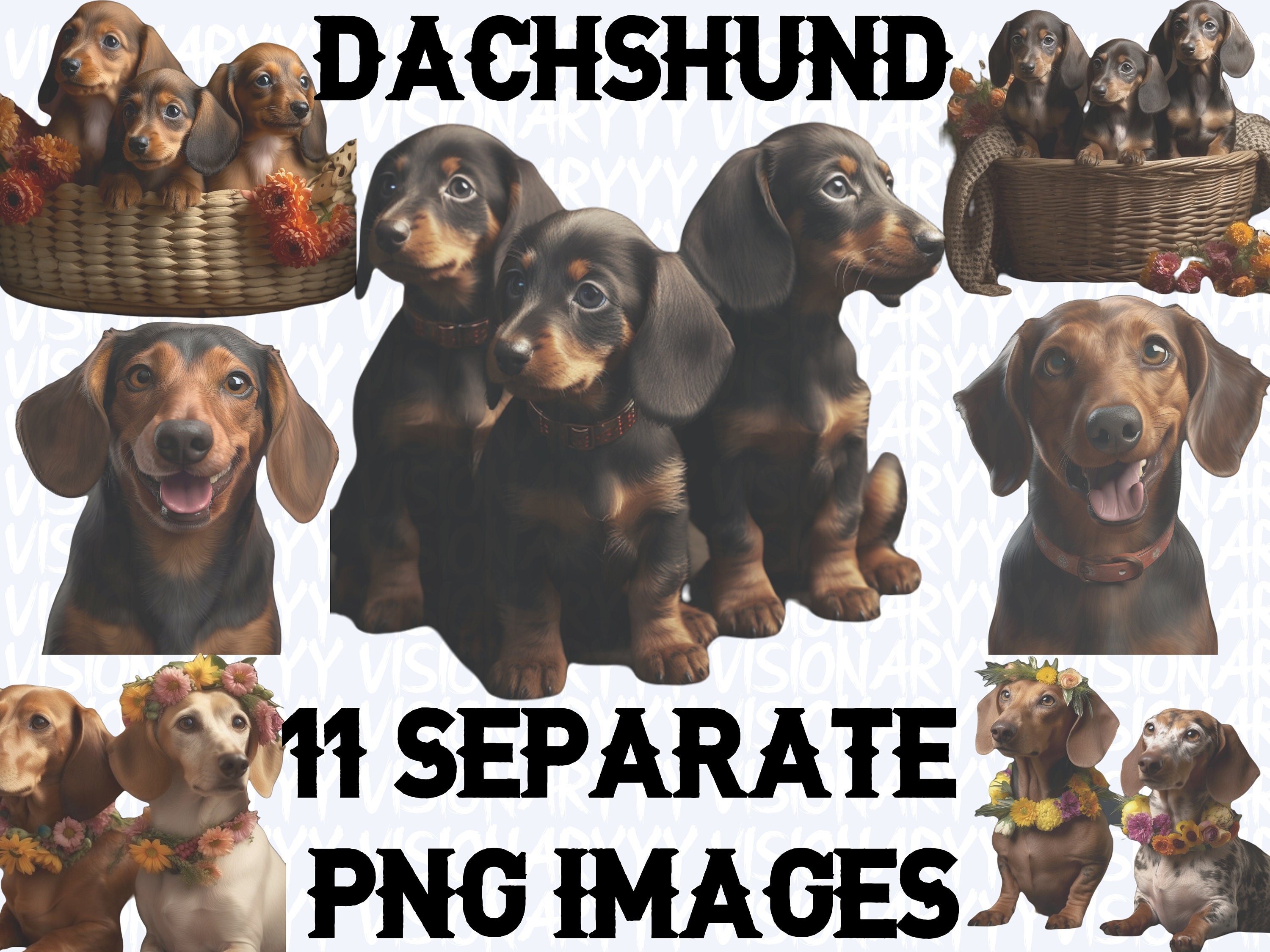 Dachshund Dog Clip Art Bundle of 11 Dog Lover Instant Download ...