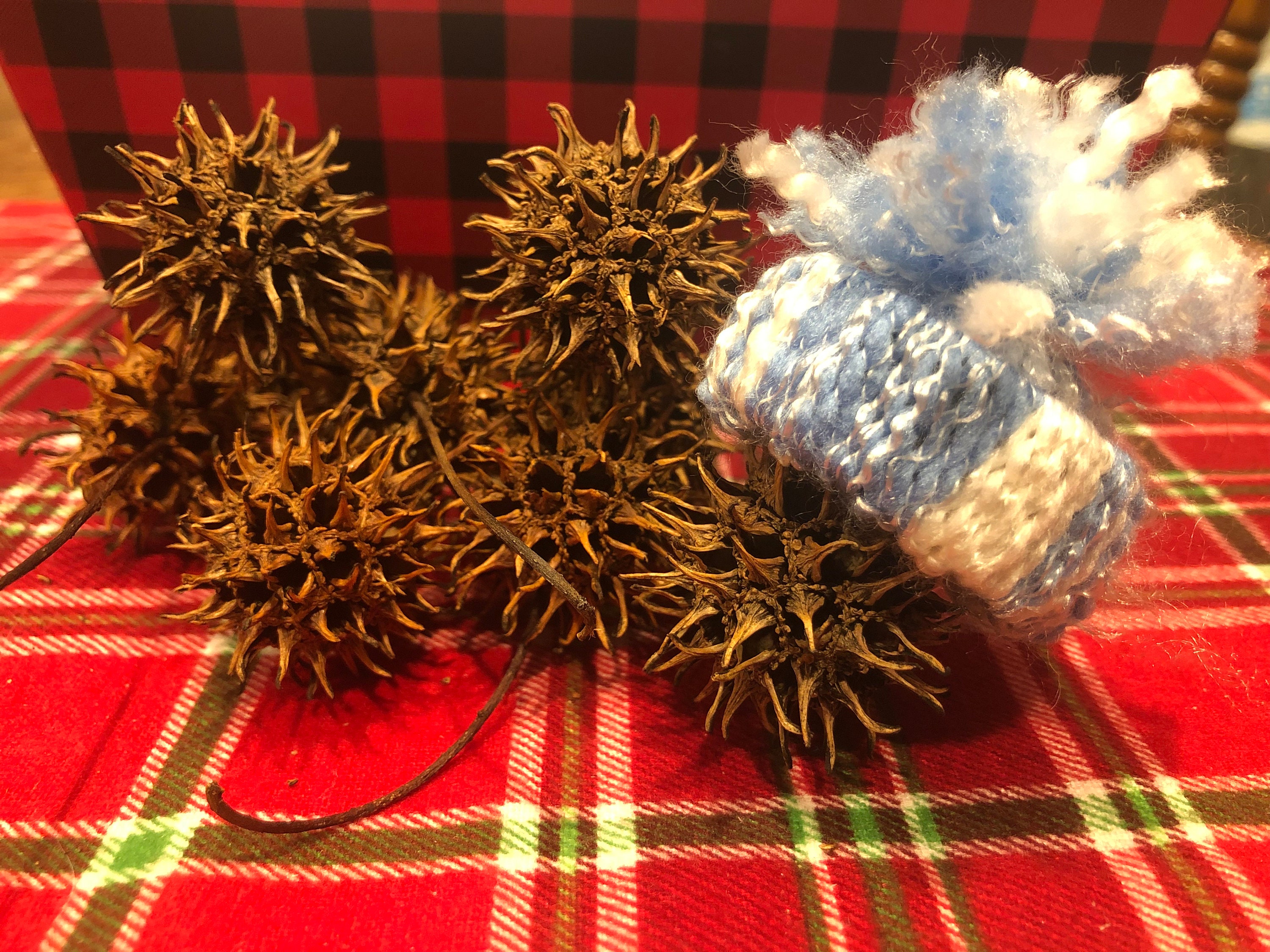 Sweet Gum Ball Tree Pods for Crafts - Etsy
