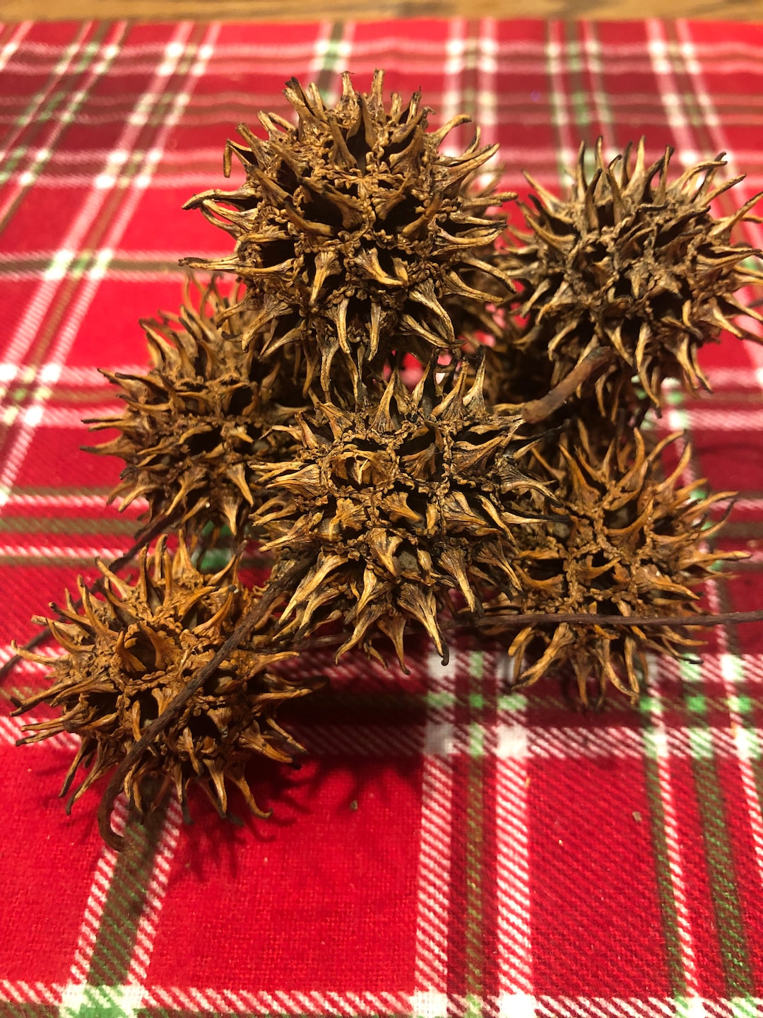 Sweet Gum Ball Tree Pods for Crafts - Etsy