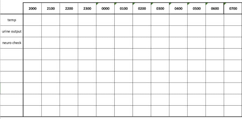 ICU Hourly Documentation - Etsy