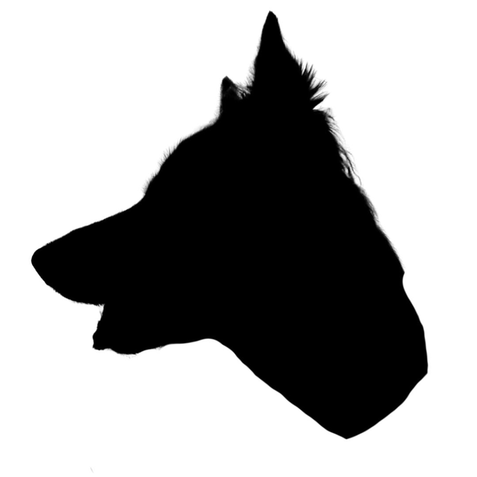 Custom Digital Silhouette - Etsy