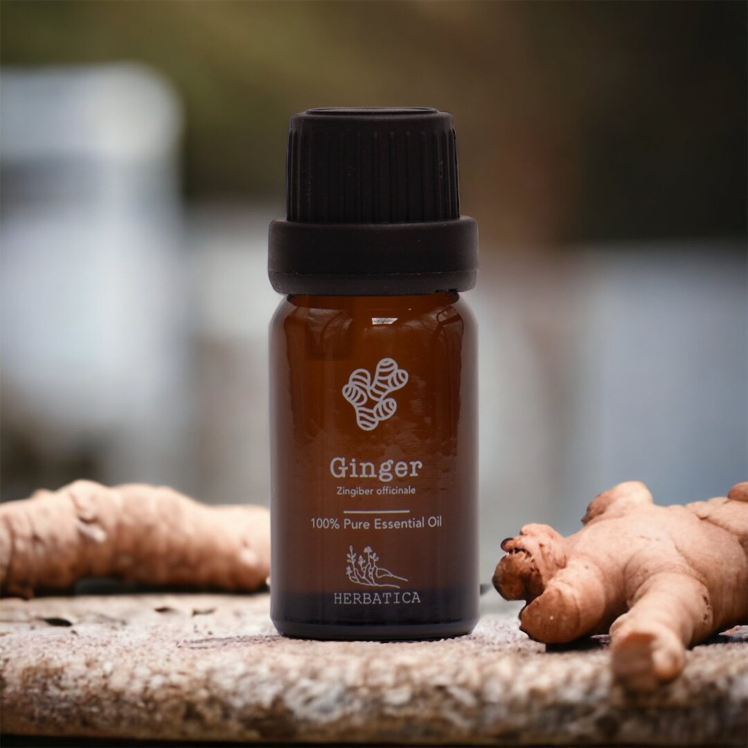 Ginger Essential Oils Herbatica - Etsy