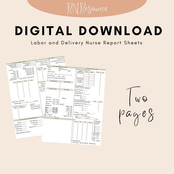 Labor and Delivery Report Sheet - Etsy