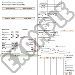 OB Nurse Template, Labor and Delivery Nurse Report Sheet, OB Nurse ...