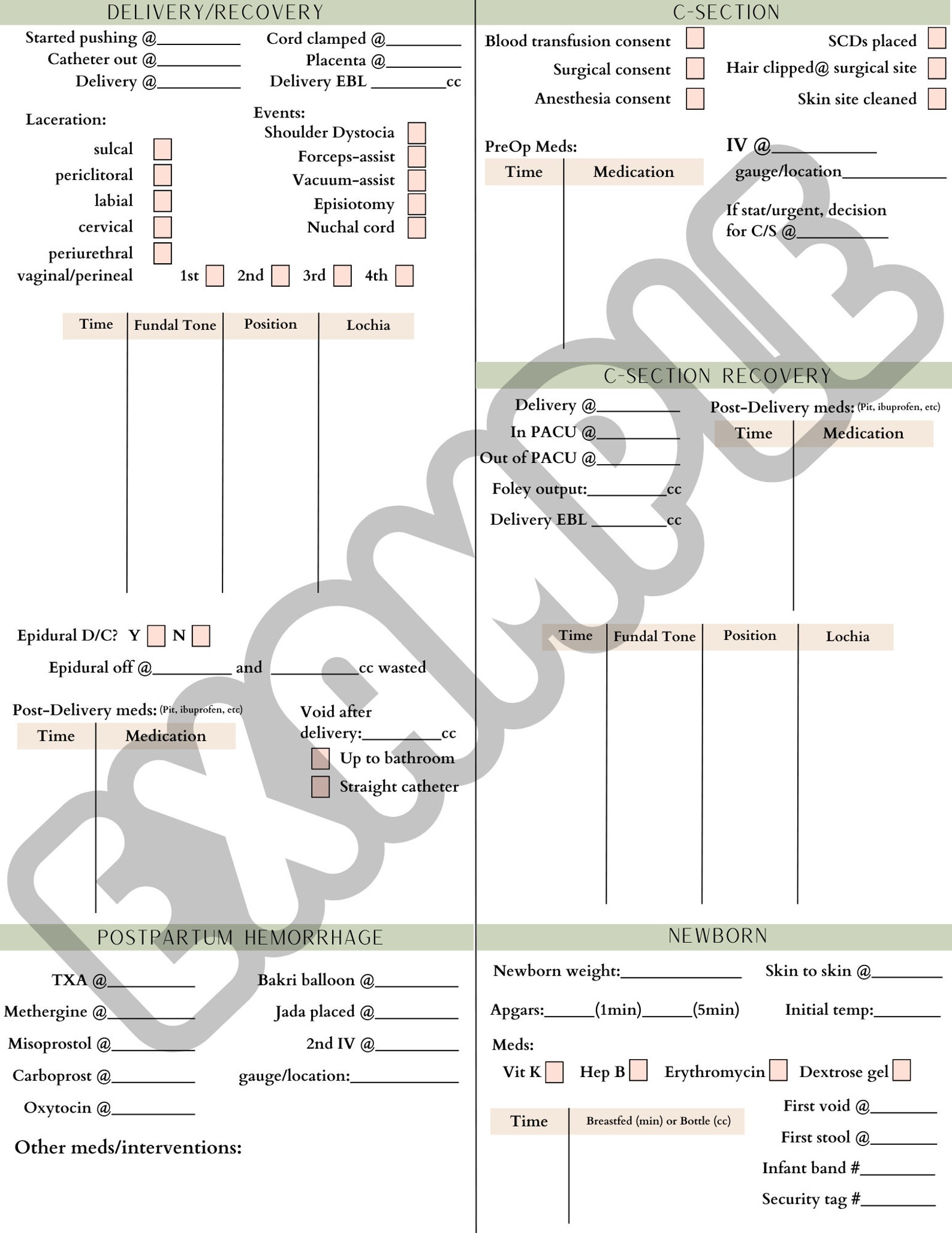 OB Nurse Template, Labor and Delivery Nurse Report Sheet, OB Nurse ...