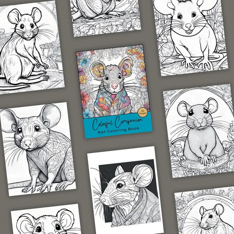 Rat Coloring Book: 30 Fun Printable Pages (PDF) Colorful Companions - Etsy
